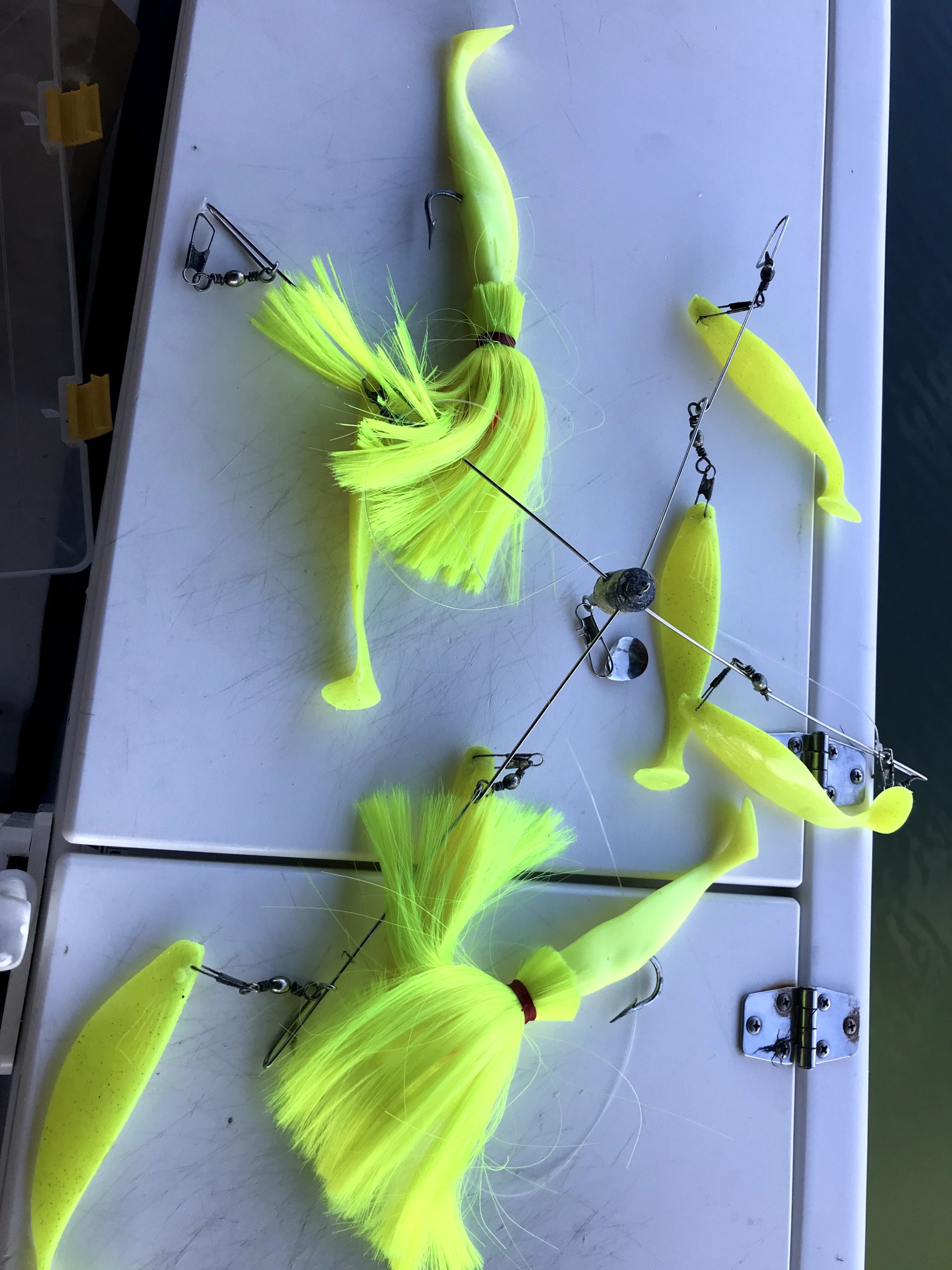 Here are the rigs I use for striper – Whay Moore Fun